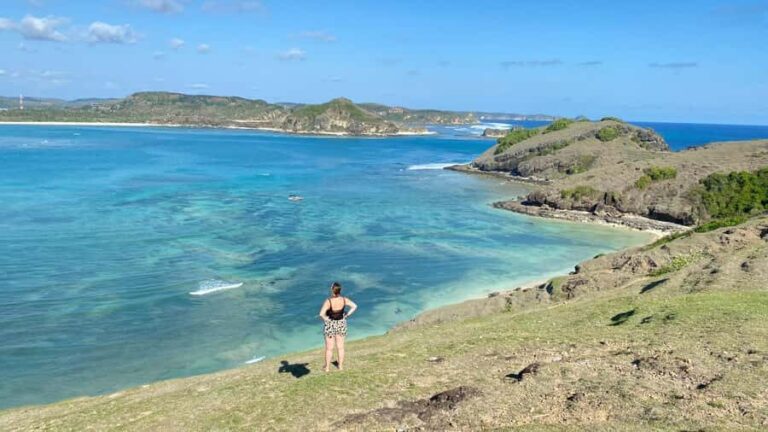 Lombok: Selong Belanak Surf Lesson & Mawun Beach Tour - Who Is This Tour Best For?