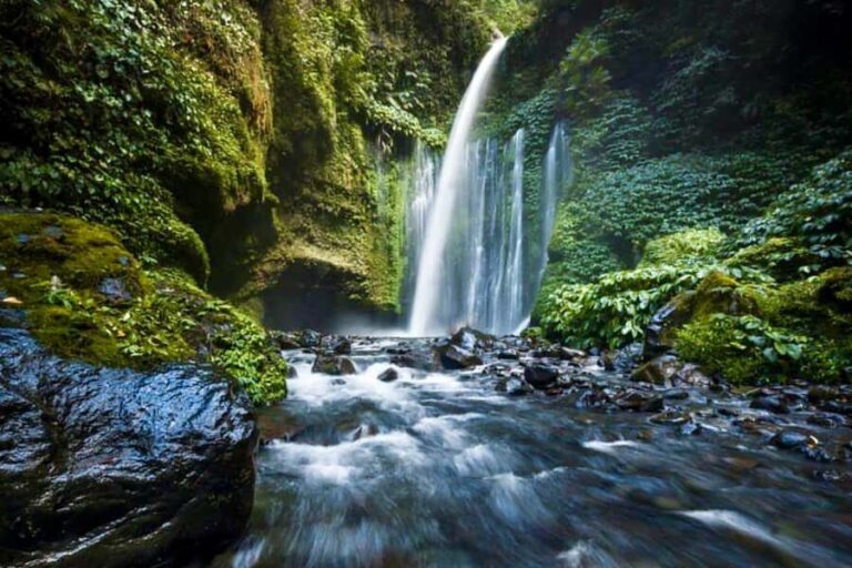 Lombok: Sendang Gile - Tiu Kelep & Selong Hills Sembalun - Analyzing the Value