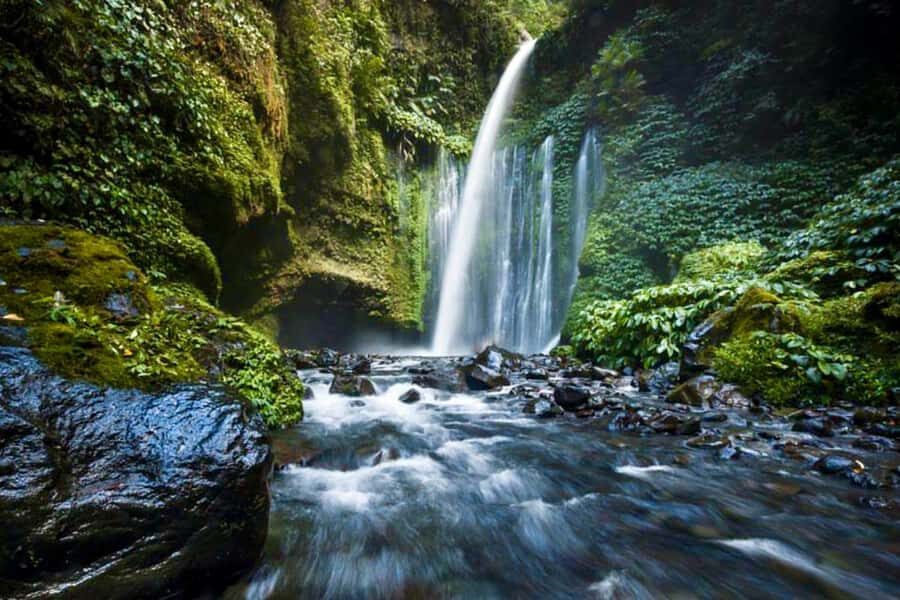 Lombok: Sendang Gile - Tiu Kelep & Selong Hills Sembalun - Analyzing the Value