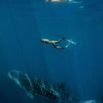 Lombok : Sharing Whale Shark Tour 2 Day 1 Night Sumbawa - What You Can Expect from the Tour
