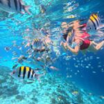 Lombok: Snorkeling & Island Hopping to The Southwest Gilis - Why This Tour Offers Real Value