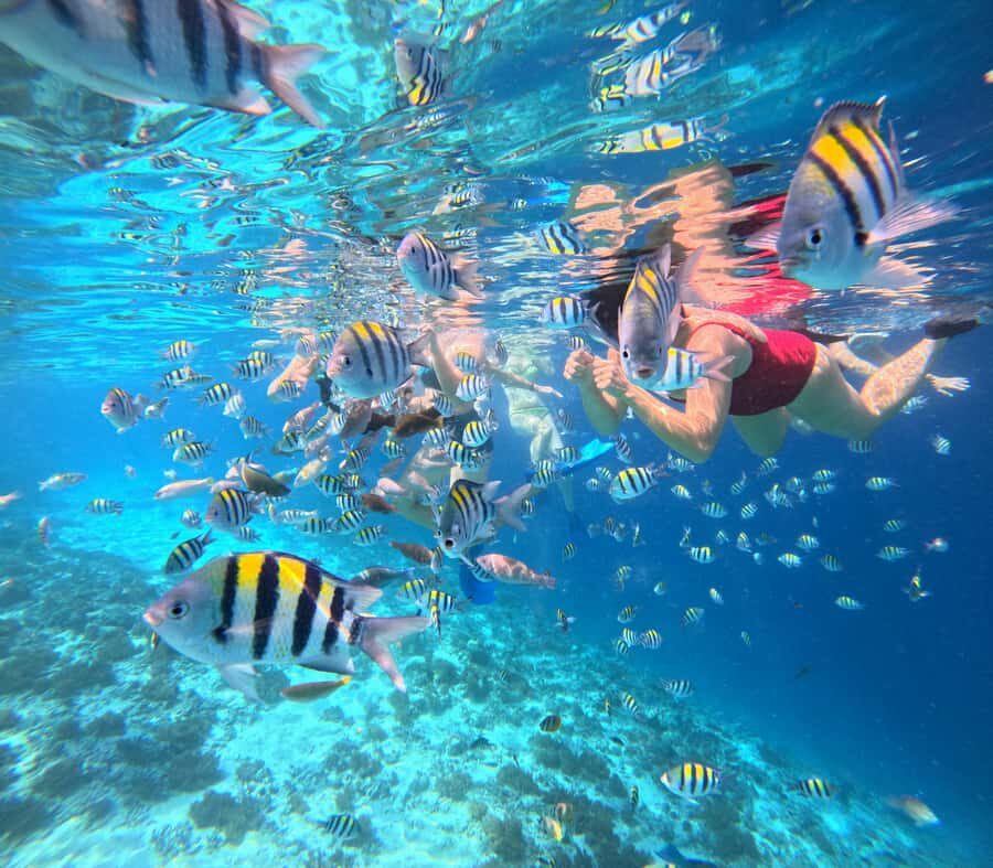 Lombok: Snorkeling & Island Hopping to The Southwest Gilis - Why This Tour Offers Real Value