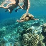Lombok Snorkeling to Gili Nanggu, Tangkong, Sudak and Kedis - Who Would Enjoy This Tour?