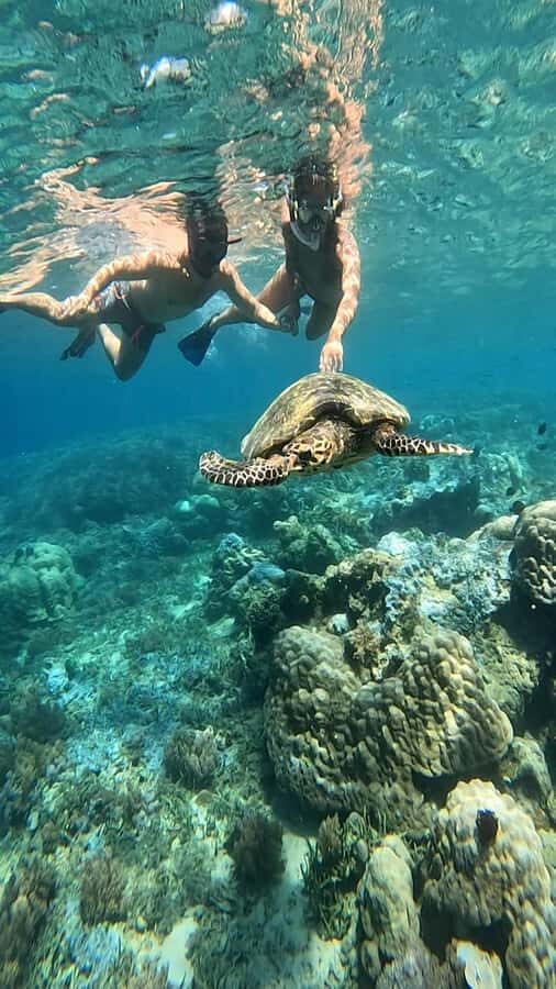 Lombok Snorkeling to Gili Nanggu, Tangkong, Sudak and Kedis - Who Would Enjoy This Tour?