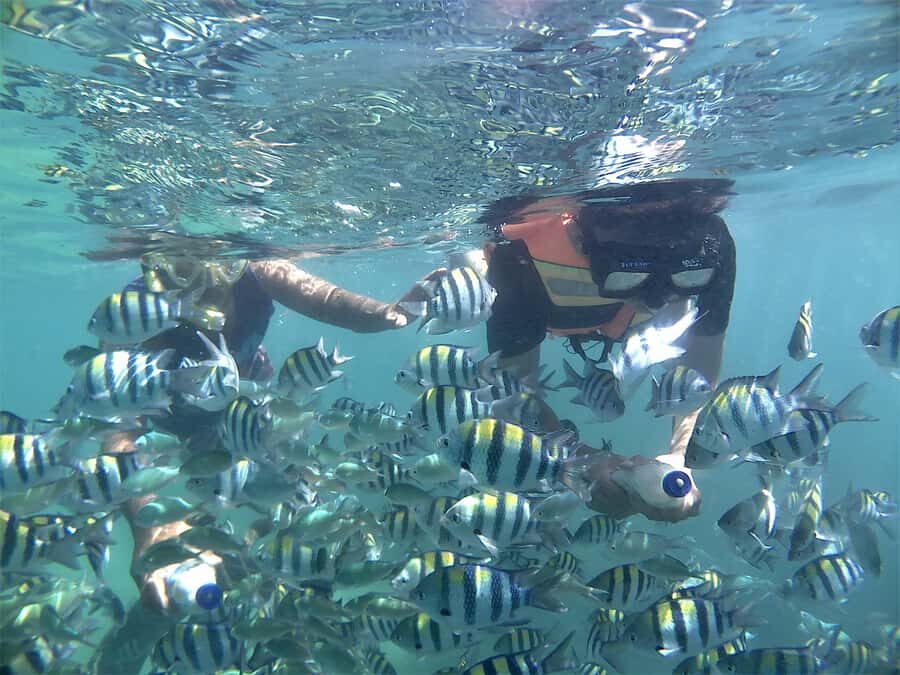 Lombok: Snorkeling Trip Gili Nanggu, Sudak & Kedis - What Makes This Tour Stand Out?