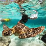 Lombok : Snorkeling Trip (Gili Trawangan, Meno & Gili Air) - Visiting Gili Trawangan: The Break and the Views