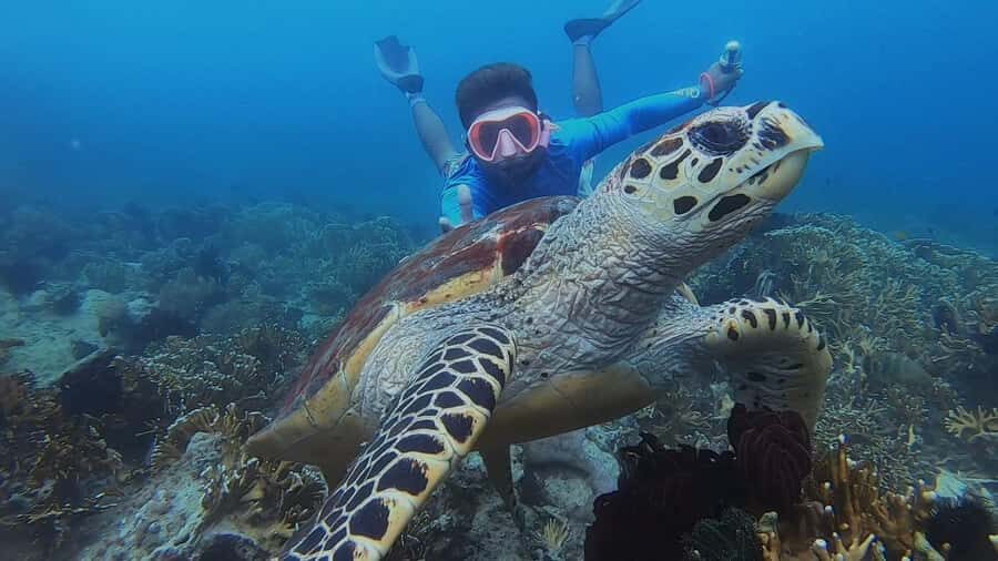 Lombok: Snorkeling Trip Secret Gilis Layar, Rengit & Gede - The Itinerary: A Day of Peaceful Exploration