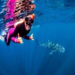 Lombok Sumbawa Best Sharing 2D1N Whale Shark With Snorkeling - The Authenticity and Value of the Experience