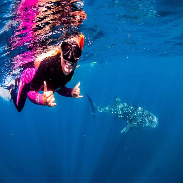 Lombok Sumbawa Best Sharing 2D1N Whale Shark With Snorkeling - The Authenticity and Value of the Experience