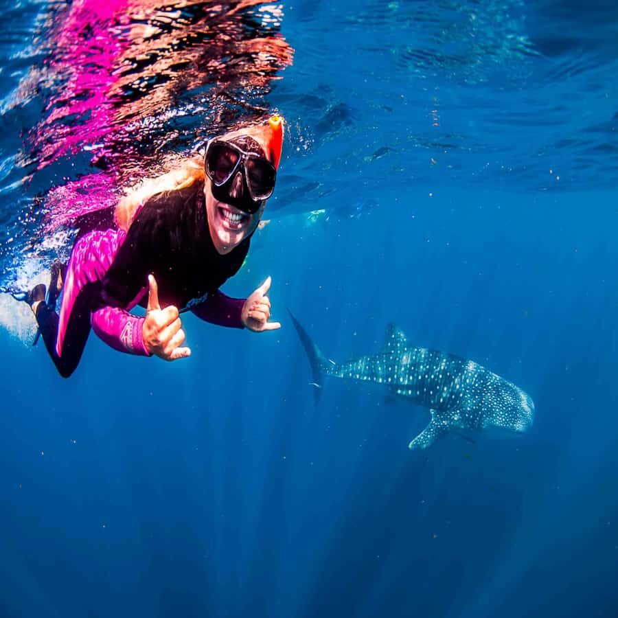 Lombok Sumbawa Best Sharing 2D1N Whale Shark With Snorkeling - The Authenticity and Value of the Experience