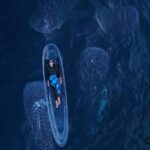 Lombok Sumbawa Sharing 2D1N Whale Shark With Snorkeling - The Journey Begins: From Lombok to Sumbawa