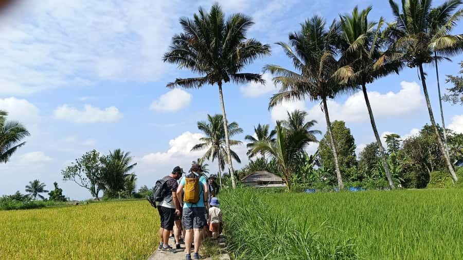 Lombok: Tetebatu Village and Rice Fields Guided Tour - Practical Details and Value