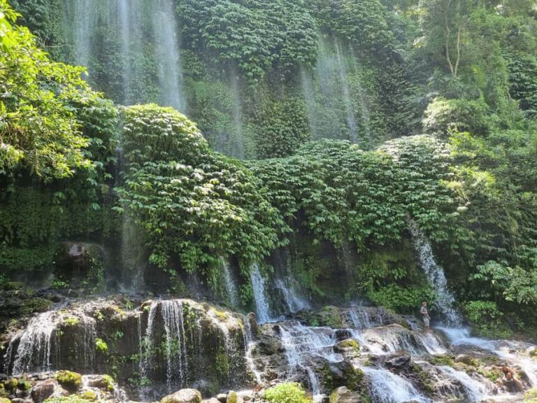 Lombok: Waterfall and Traditional Village Private Tour - Diving into Lombok’s Traditions at Sade Village