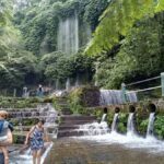 Lombok: Waterfall Benang Kelambu & Rice field Trip - What to Expect: From Rice Fields to Waterfall Cascades
