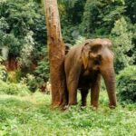 Lombok Wildlife Park: Admission Ticket - Who Will Enjoy This Most?