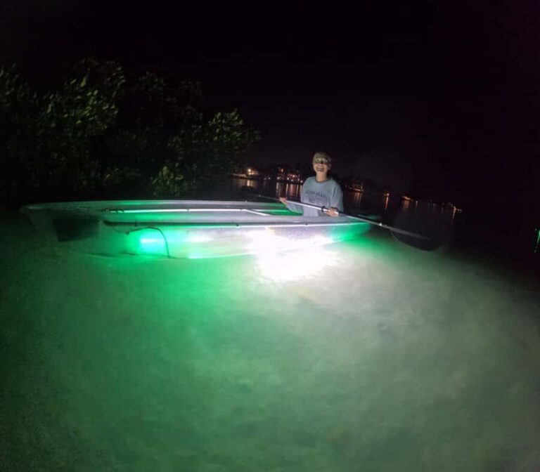 Longboat Key Clear Kayak LED Illuminated Night Tour Sarasota - The Itinerary Breakdown