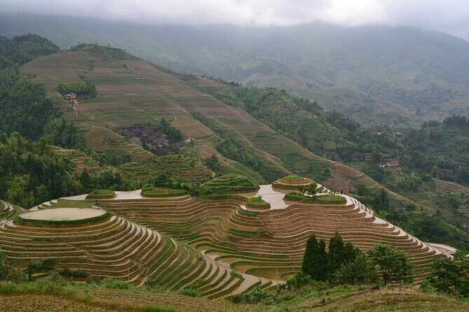 Longji Rice Terraces All In One Dazhai and Pingan Villages Tour - Who Will Love This Tour?