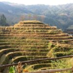 Longsheng Rice Terraces 1-night Accommodation with 2-way Transfer from Guilin - Transport, Accommodation, and Overall Value