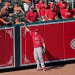 Los Angeles Angels Baseball Game at Angel Stadium - Who Should Consider This Tour?