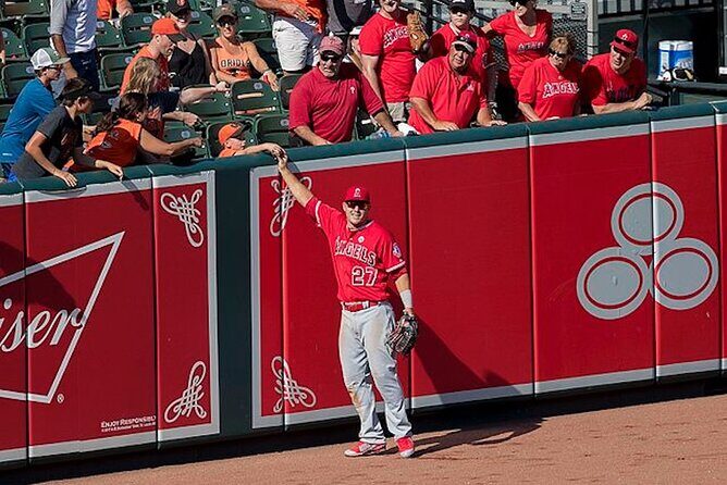 Los Angeles Angels Baseball Game at Angel Stadium - Who Should Consider This Tour?