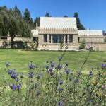 Los Angeles Taco Tour - A Tasty Journey Through Los Feliz: What to Expect