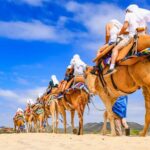 Los Cabos Camel Ride and Tequila Tasting Experience - The Realities and Concerns