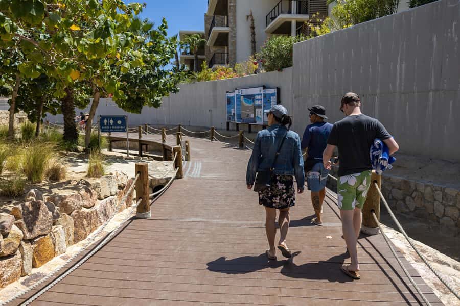 Los Cabos: Guided Snorkeling Tour with Transportation - Introduction to the Snorkeling Experience in Los Cabos