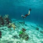 Los Cabos: Santa Maria & Chileno Bay Snorkel Adventure - Who Should Consider This Tour?