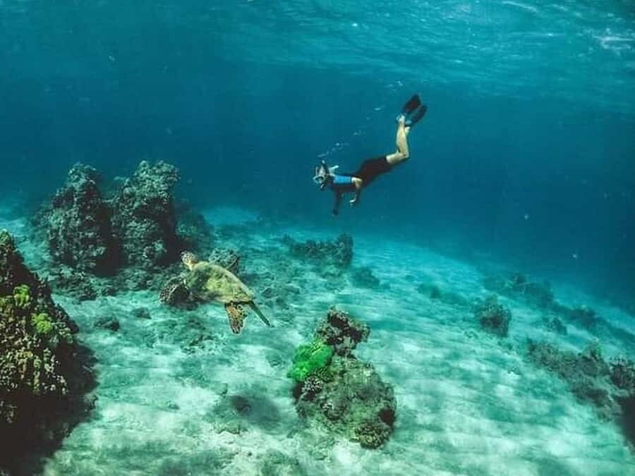 Los Cabos: Santa Maria & Chileno Bay Snorkel Adventure - Who Should Consider This Tour?