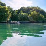 Los Haitises Boat Ride and Caño Hondo Natural Pools - Why This Tour Offers Great Value