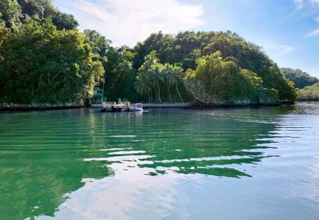 Los Haitises Boat Ride and Caño Hondo Natural Pools - Why This Tour Offers Great Value