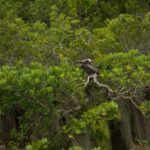 Los Haitises: Cayo Levantado, Haitises & Deluxe Rooms - The Practicalities & Value