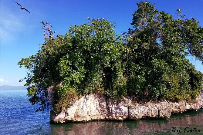 Los Haitises & Cayo Levantado (Lunch included, from Samana in Catamaran or Boat) - Transition to Cayo Levantado: Bacardi Island in Sight