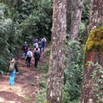 Los Haitises: Guided Kayak Tour with Local Guide - Why You Should Consider This Tour