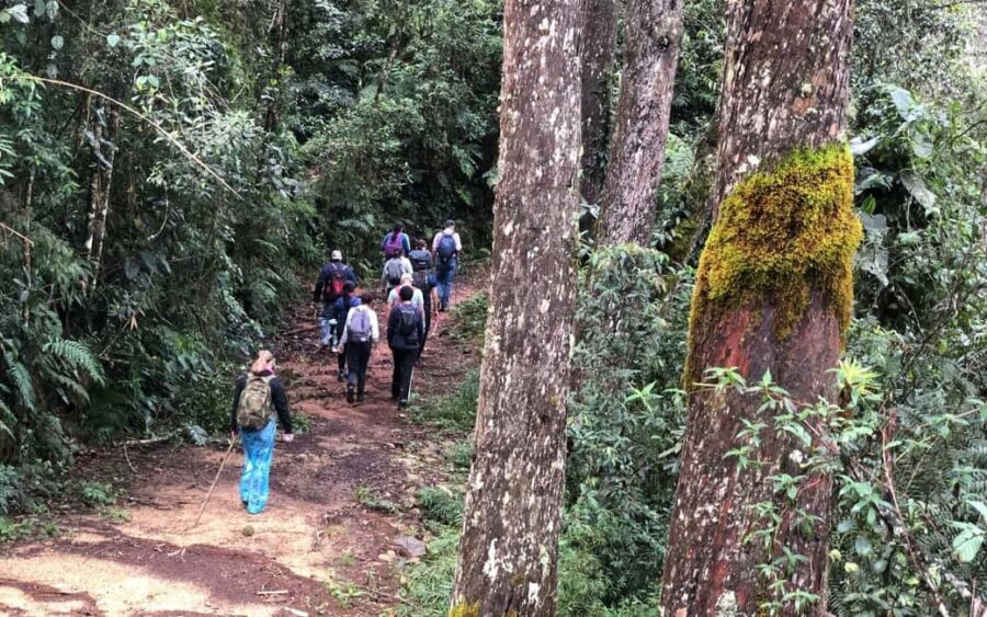Los Haitises: Guided Kayak Tour with Local Guide - Why You Should Consider This Tour