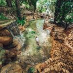 Los Haitises: Hiking and Kayaking natural pools Tour & Lunch - Kayaking Through Mangroves