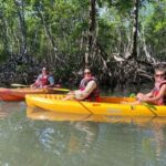 Los Haitises: Kayaking, Hiking, and Caving Tour with Lunch - The Experience Provider: Tour Whales Samana