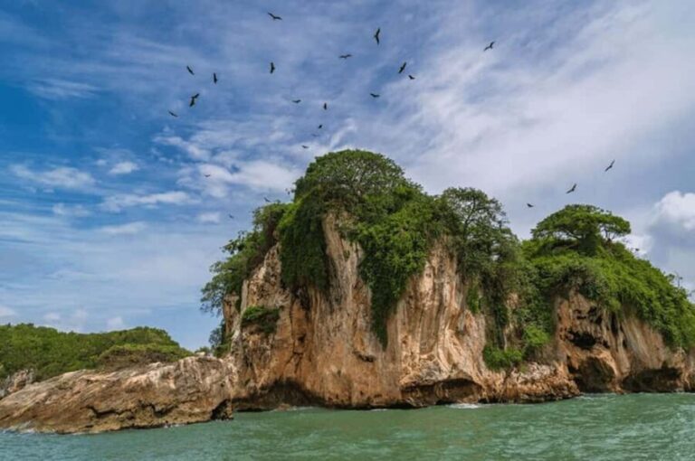 Los Haitises National Park: Boat Tour and Cave Visit - Exploring the Caves: Arena and Linea
