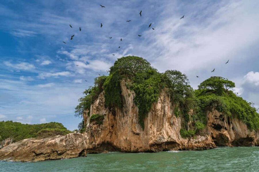 Los Haitises National Park: Boat Tour and Cave Visit - Exploring the Caves: Arena and Linea