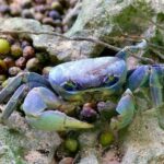 Los Haitises National Park - Hiking in Rain Forest + Private Boat to Caves - What Travelers Say: Authentic Feedback