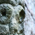 Los Haitises National Park private Kayaking 4 hours trip Mangroves and Cave - The Guides and Their Role