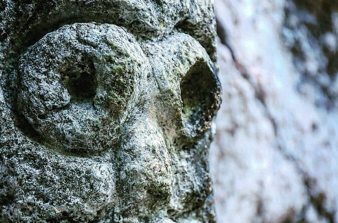 Los Haitises National Park private Kayaking 4 hours trip Mangroves and Cave - The Guides and Their Role