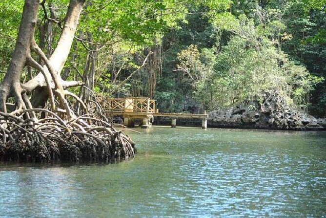 Los Haitises National Park Tour with Lunch from Punta Cana - Authentic Experiences and Authenticity