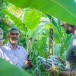 Los Haitises Park, Yanigua Waterfall, & Montaña Redonda Tour - The Value and Who Should Consider This Tour