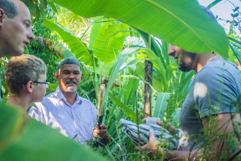 Los Haitises Park, Yanigua Waterfall, & Montaña Redonda Tour - The Value and Who Should Consider This Tour