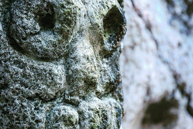 Los Haitises Private Boat Tour - The Itinerary in Detail