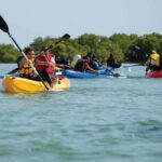 Los Haitises Rain Forest and Kayaking - Who Will Love This Tour?