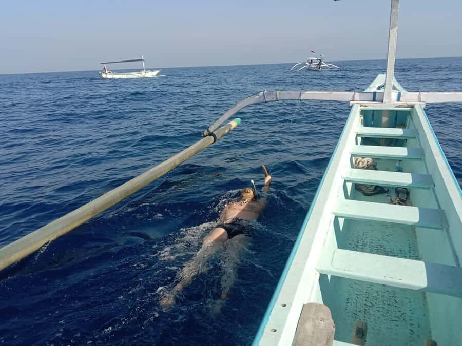 Lovina/BALI : SPECIAL Dolphin Watching,Swimming,Snorkeling - Who Should Consider This Tour?