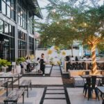 Lovina: Dolphin-Themed Brunch with Ocean Visuals & Music - The Value of This Experience