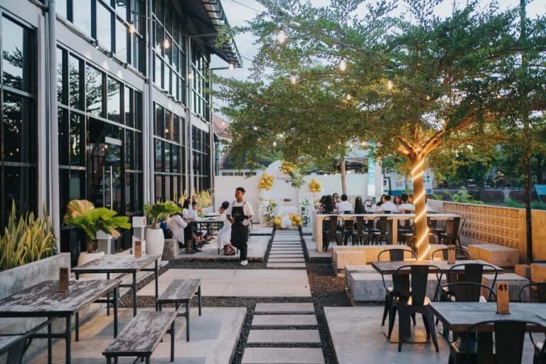 Lovina: Dolphin-Themed Brunch with Ocean Visuals & Music - The Value of This Experience